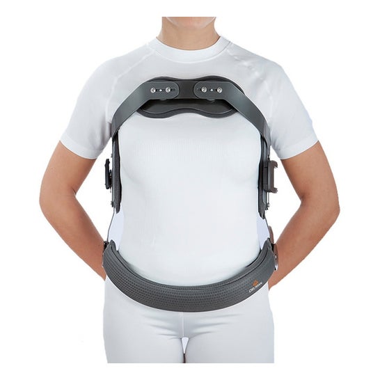 Orliman Jewett Frame Sternotech Short Grey T3 1pc | PromoFarma